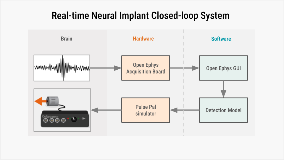 Real-time Sharp Wave Detection and Stimulation | Ahmed Almijbari